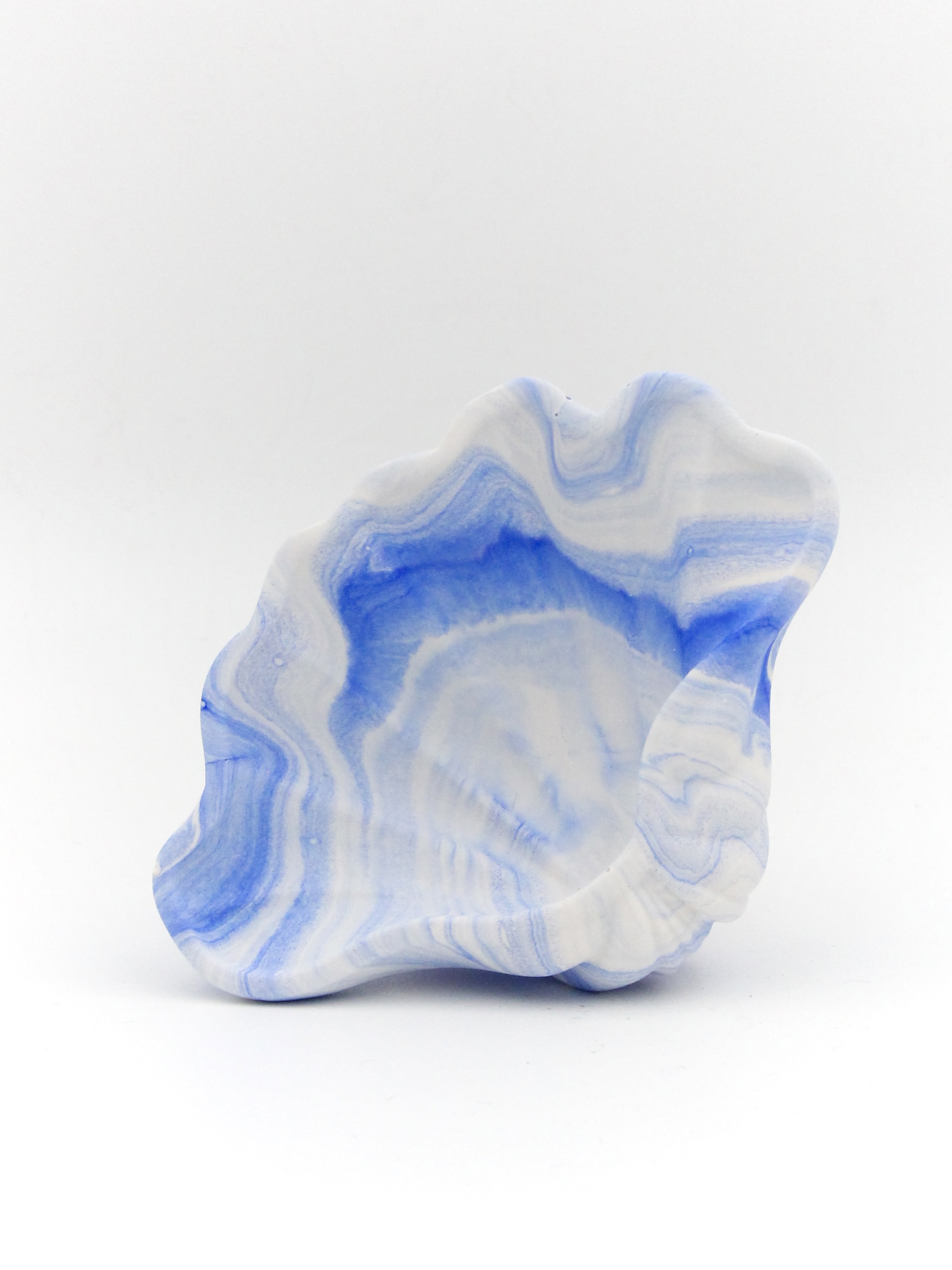 Amy Seashell