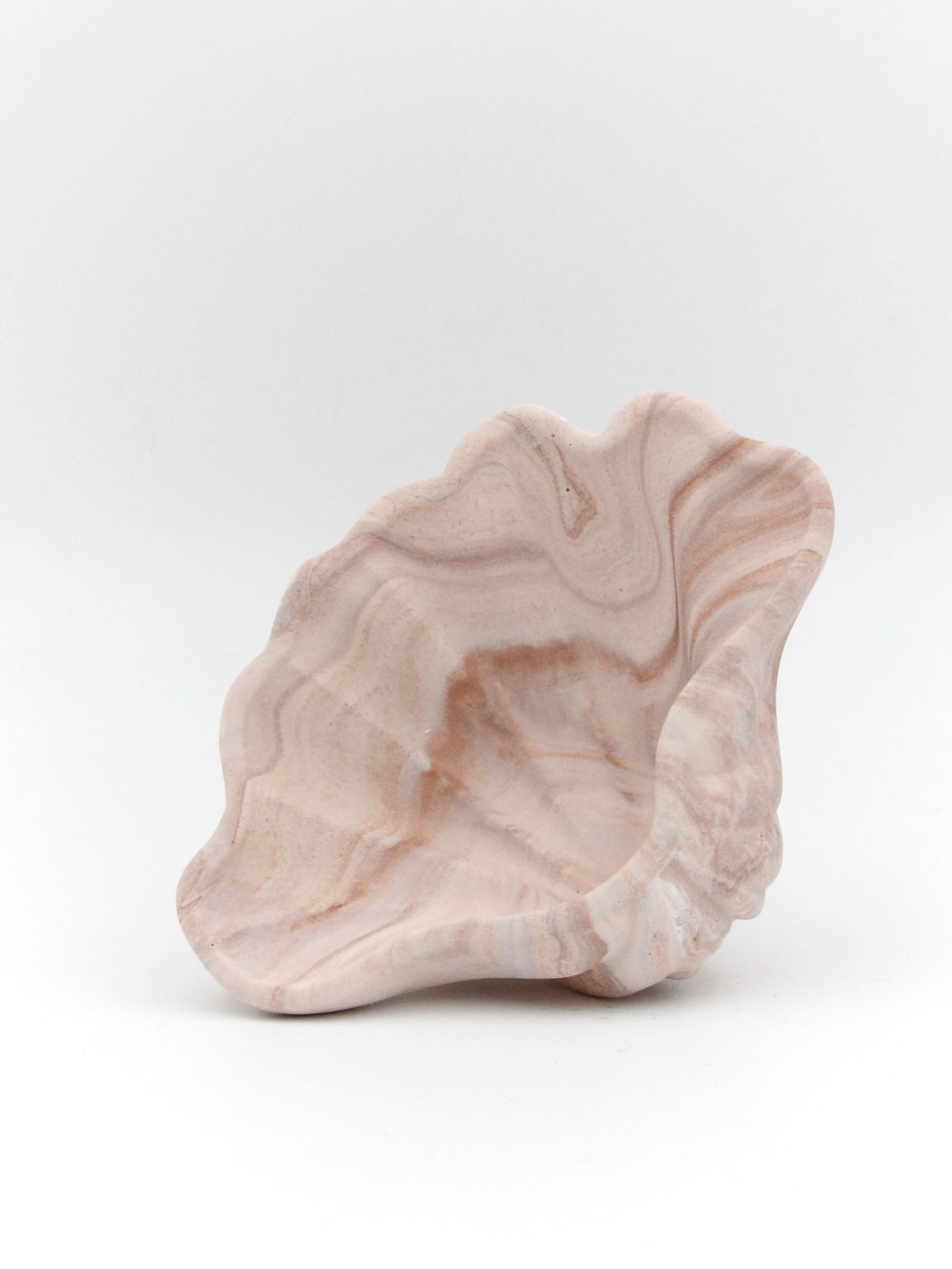 Amy Seashell