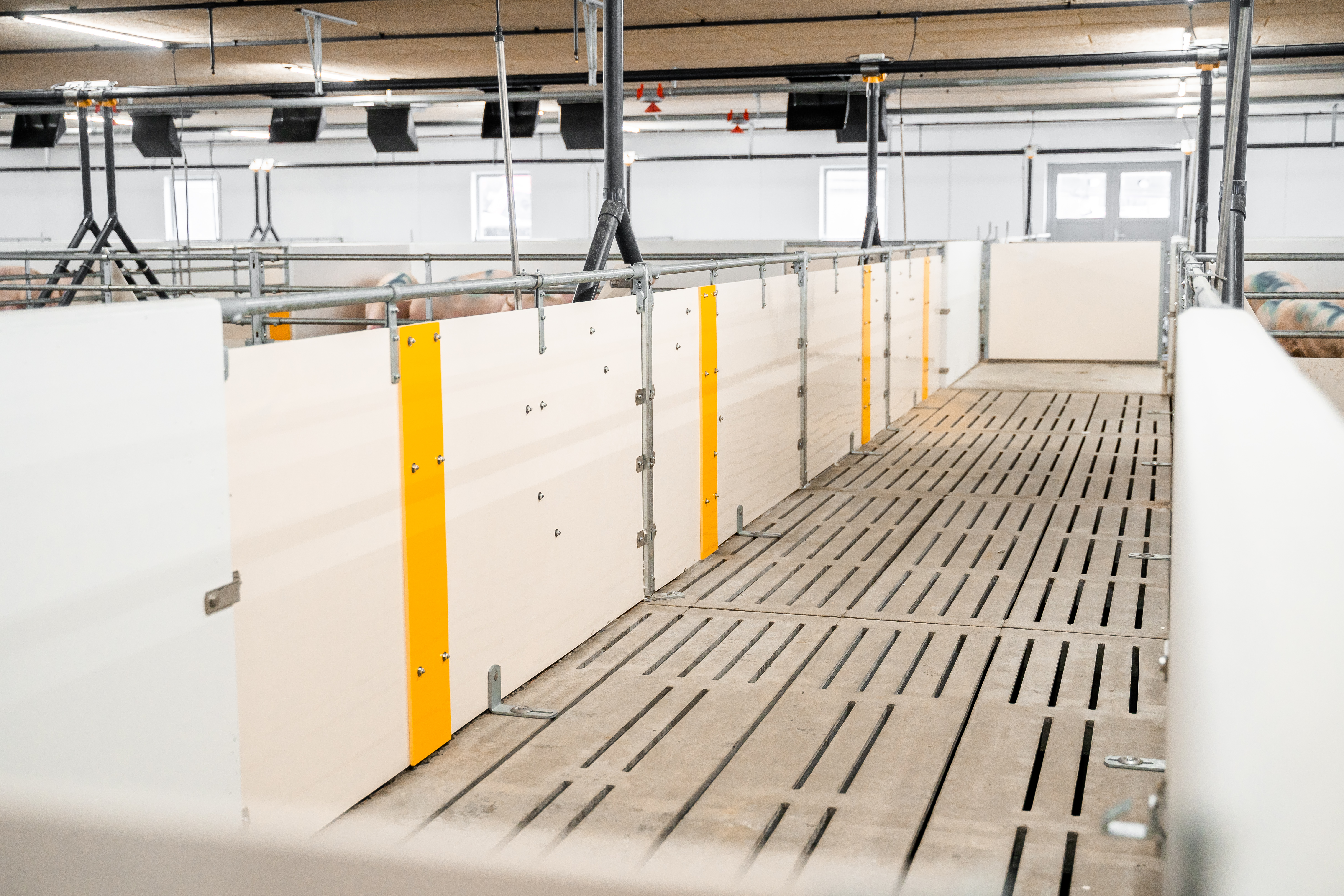 NEW! SKIOLD Penning in new composite materials