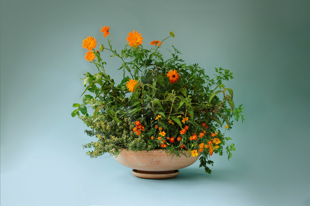 Ada the adorning flower dish