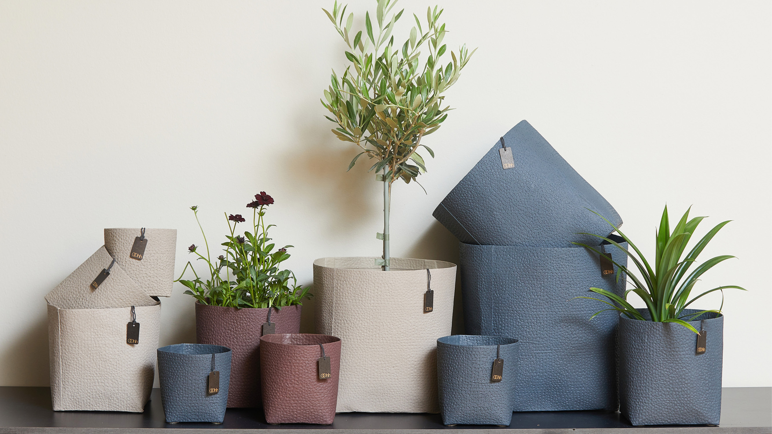 Explore the advantages with square pots